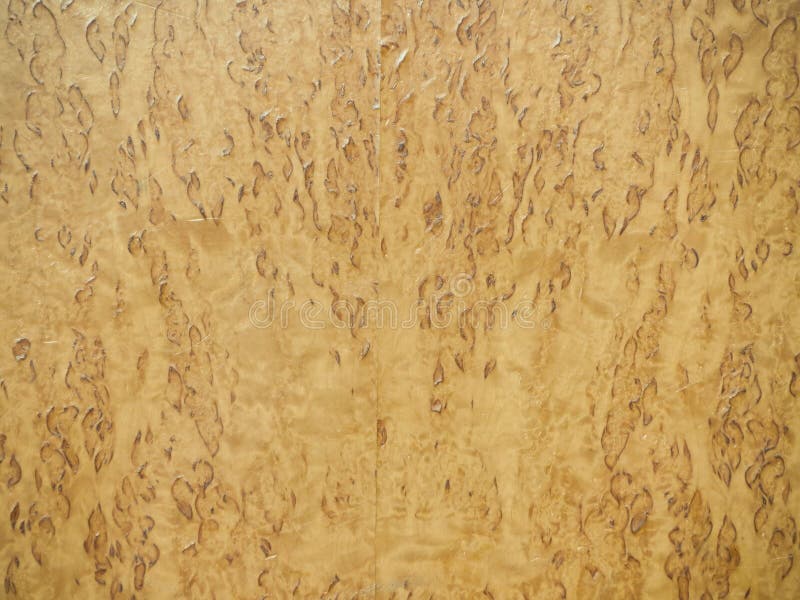 Briar-root wood texture stock image. Image of design - 30333557