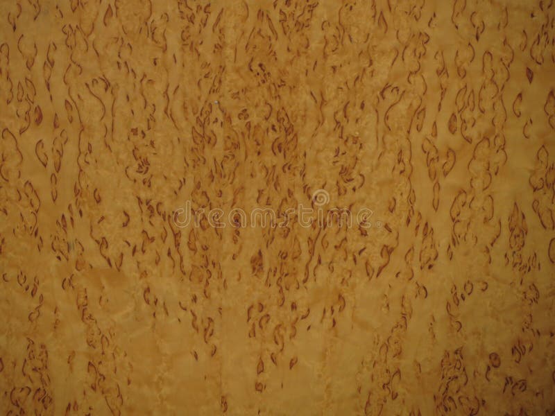 Briar-root wood texture stock photo. Image of wallpaper - 30333870