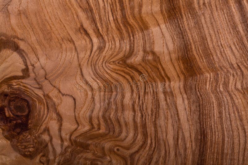 Briar-root wood texture stock image. Image of design - 30333557