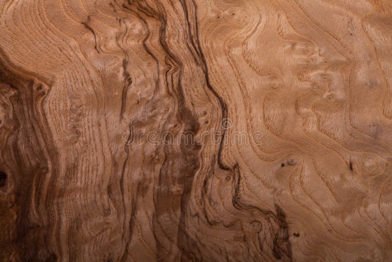 Briar-root wood texture stock photo. Image of wallpaper - 30333870