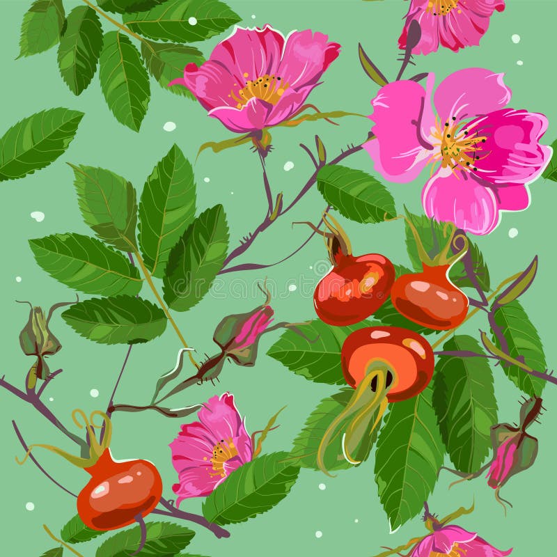 Sweet Briar Stock Illustrations – 475 Sweet Briar Stock Illustrations ...