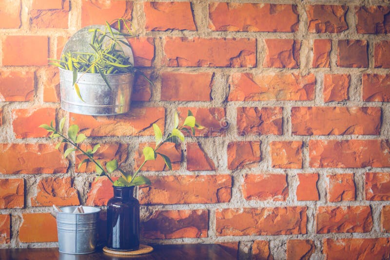 Brice Wall Decoration in Cafe Stock Photo - Image of floor, style: 88507424