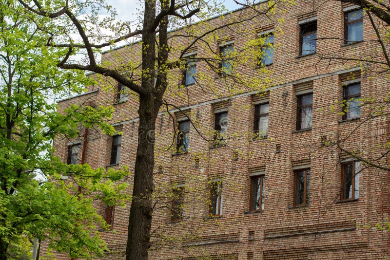 A Brick Apartment Building among Trees and Leaves Stock Image - Image ...