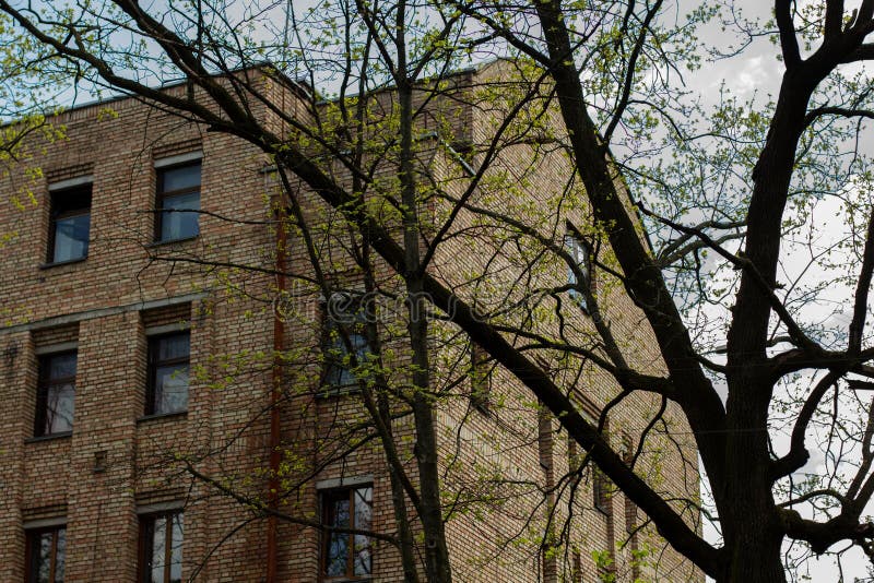 A Brick Apartment Building among Trees and Leaves Stock Photo - Image ...