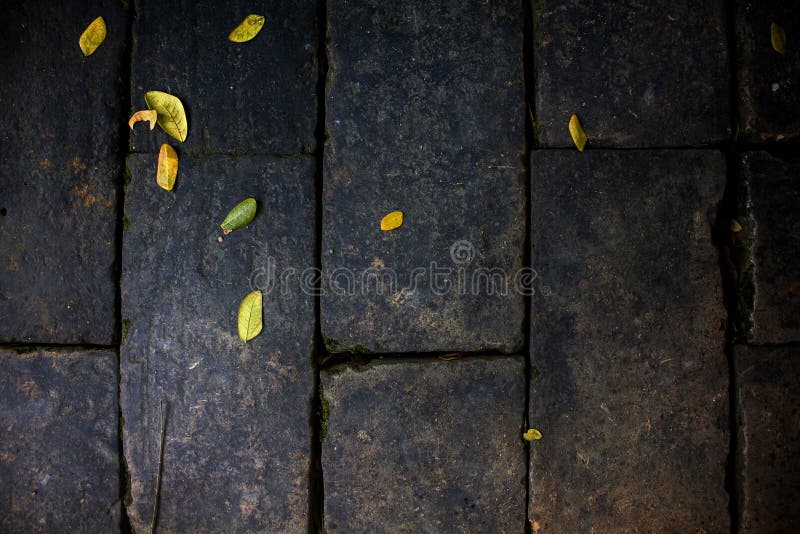 Brick background stock photo. Image of leaves, nature - 64222952