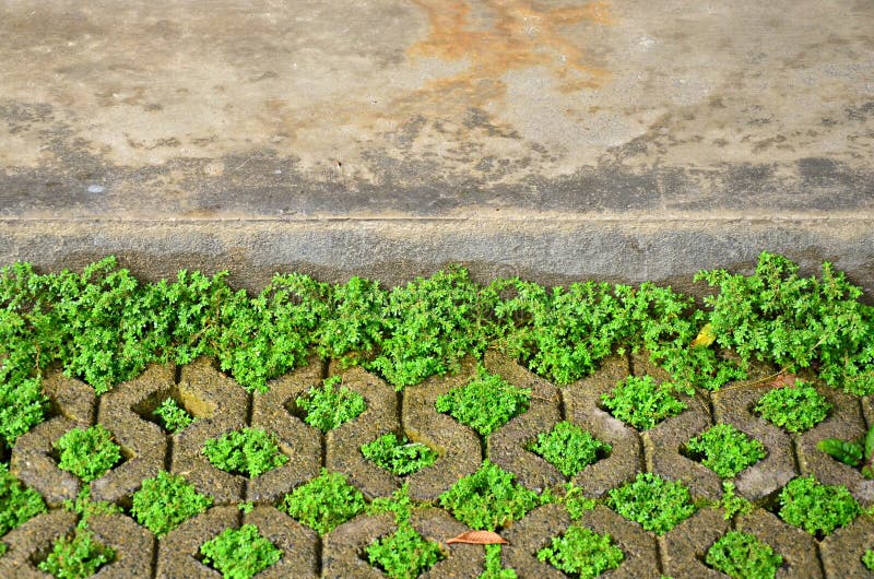 Brick block with grass. stock image. Image of closeup - 32645221