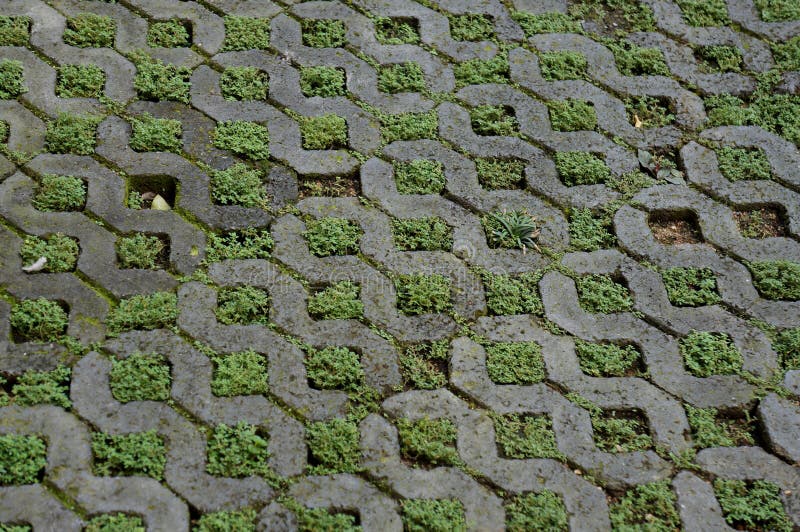 177 Brick Worm Texture Stock Photos - Free & Royalty-Free Stock Photos ...