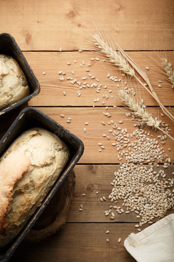 Brick bread in forms stock photo. Image of brick, healthy - 104347488