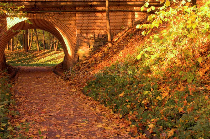 Bridge in Autumn Forest stock photo. Image of autumnal - 11718098