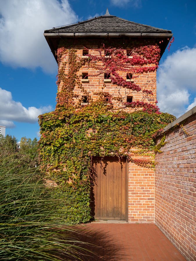Brick Building in the Park Overgrown with Loach. Stock Image - Image of ...