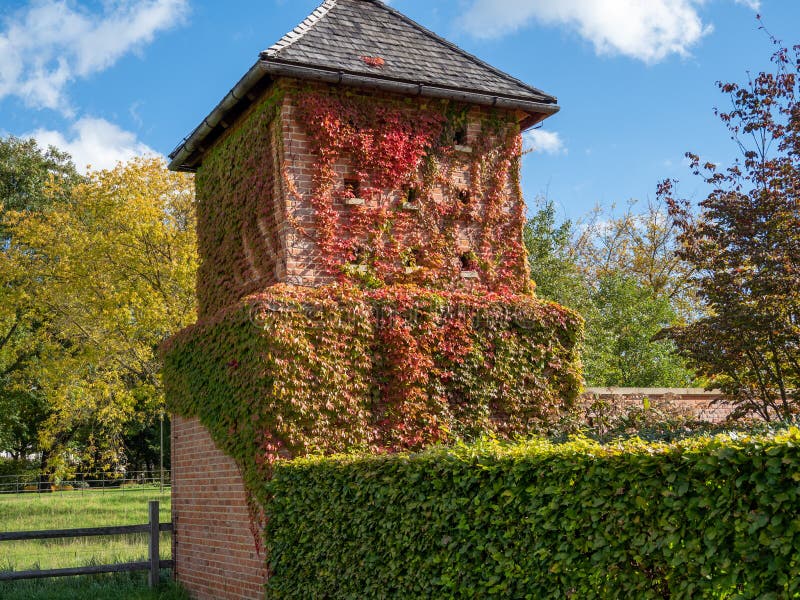 Brick Building in the Park Overgrown with Loach. Stock Image - Image of ...
