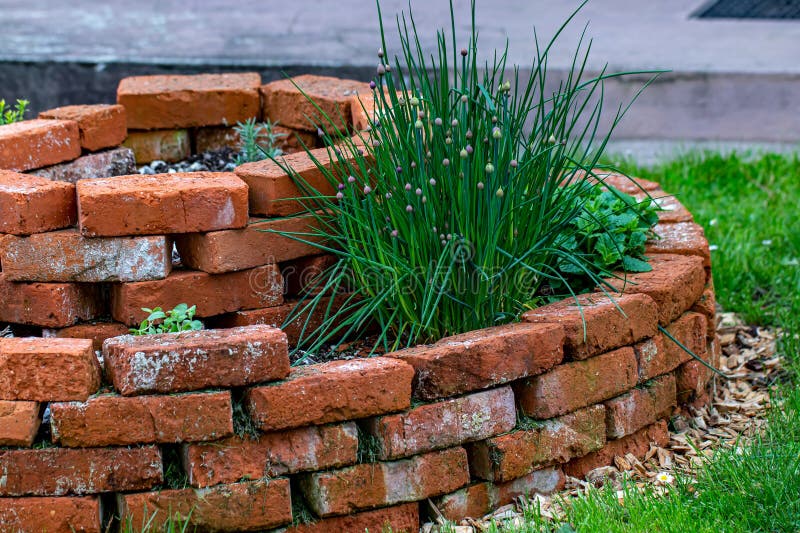 Brick Circle for Herbal Garden Stock Photo - Image of nature, design ...