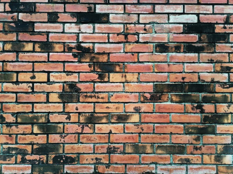 Brick Concrete Wall Texture, Red Wall Background, Cement Construction ...