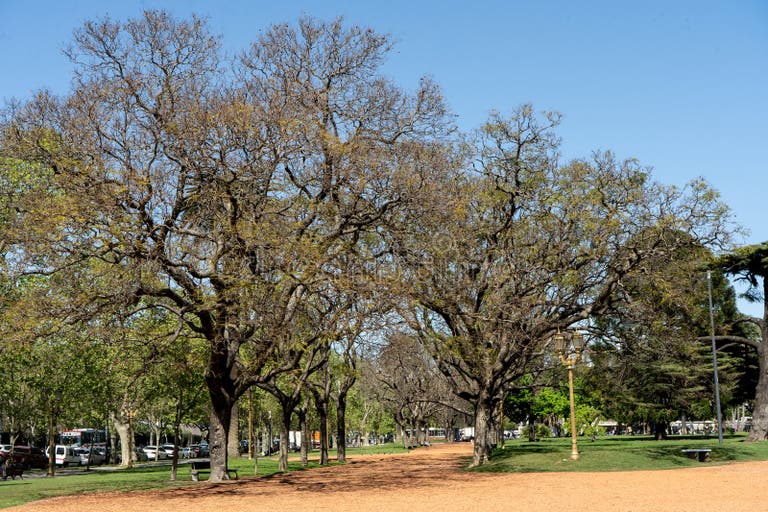 Brick Dust Pedestrian Path with Trees on the Sides in a Square. Stock ...