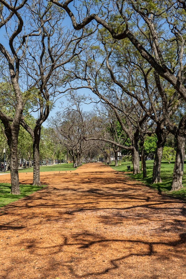 Brick Dust Pedestrian Path with Trees on the Sides in a Square. Stock ...