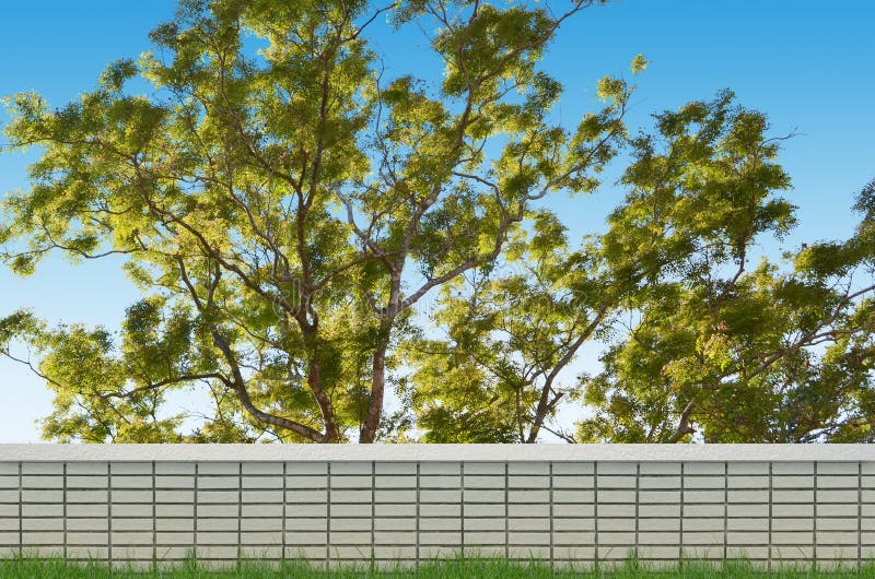Brick fence and big tree stock image. Image of blue, wall - 29040065