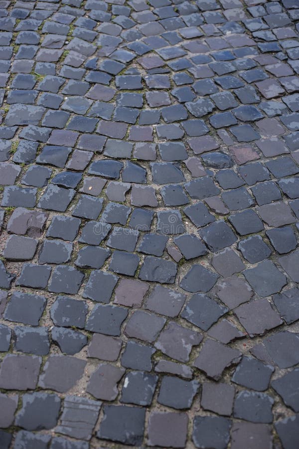 Brick floor after rain stock photo. Image of construction - 123192848