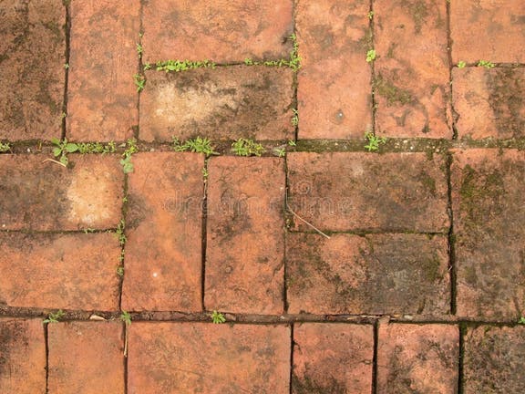 Brick footpath background stock photo. Image of floor - 187316850
