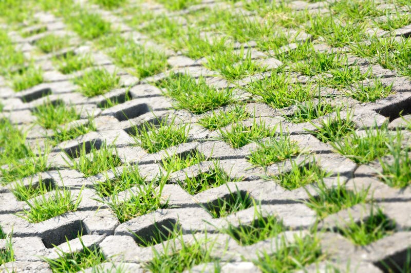 Brick grass path stock photo. Image of tile, road, stone - 49725408