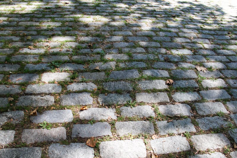 Brick Ground Under the Shade Stock Photo - Image of park, style: 84950596