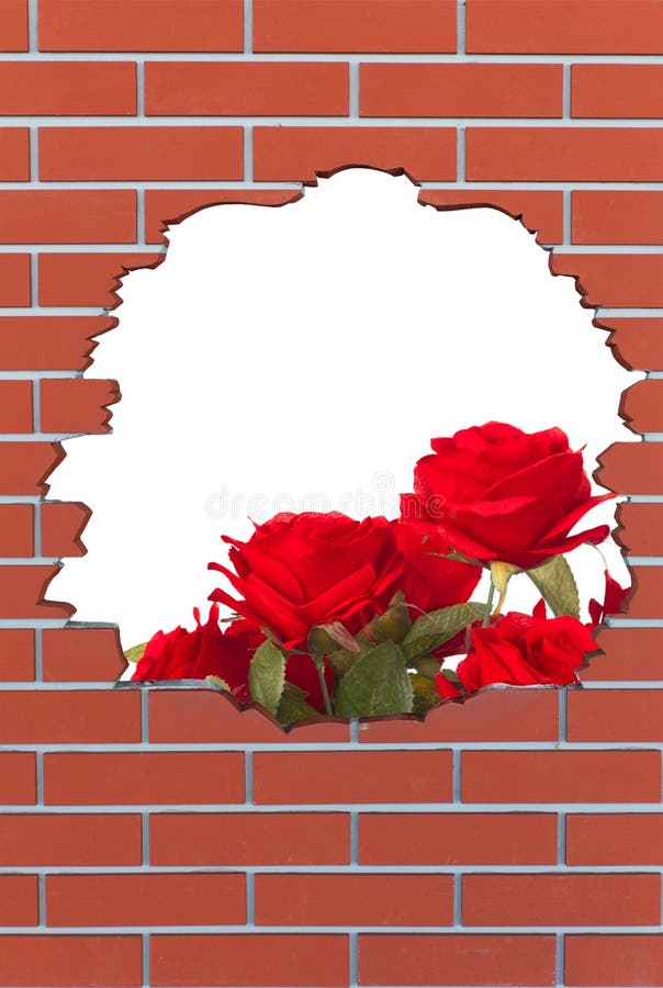 Brick hole with red roses stock photo. Image of brick - 40347440