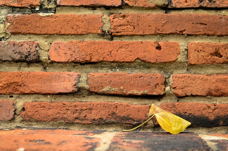 Brick and Leaf stock image. Image of fall, brick, backdrop - 50050443