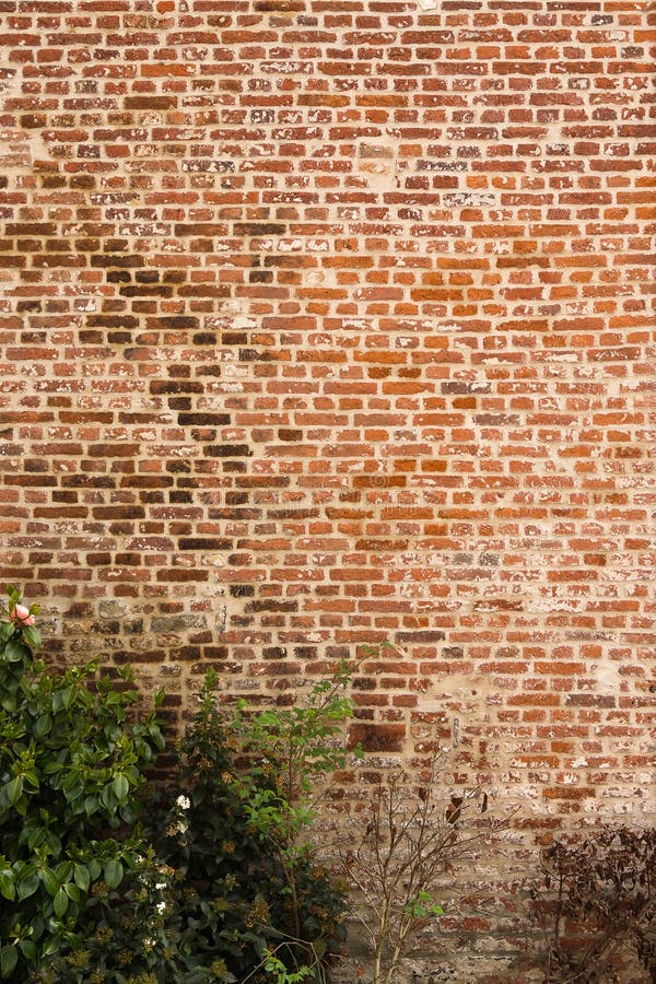 Brick & Mortar Wall stock image. Image of buildings - 41139213