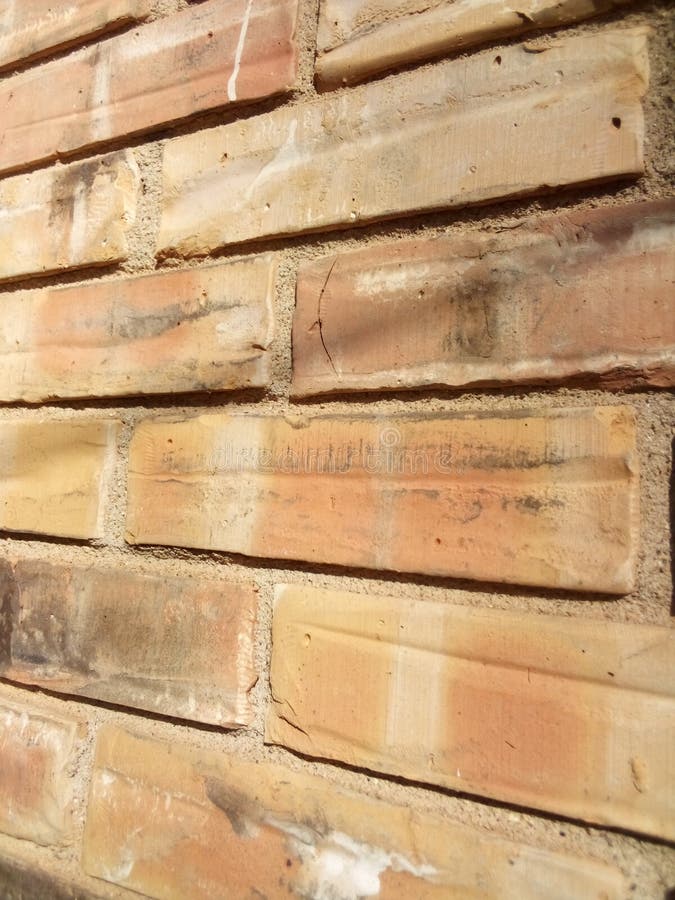 Brick nature in Texas stock photo. Image of flooring - 268222830