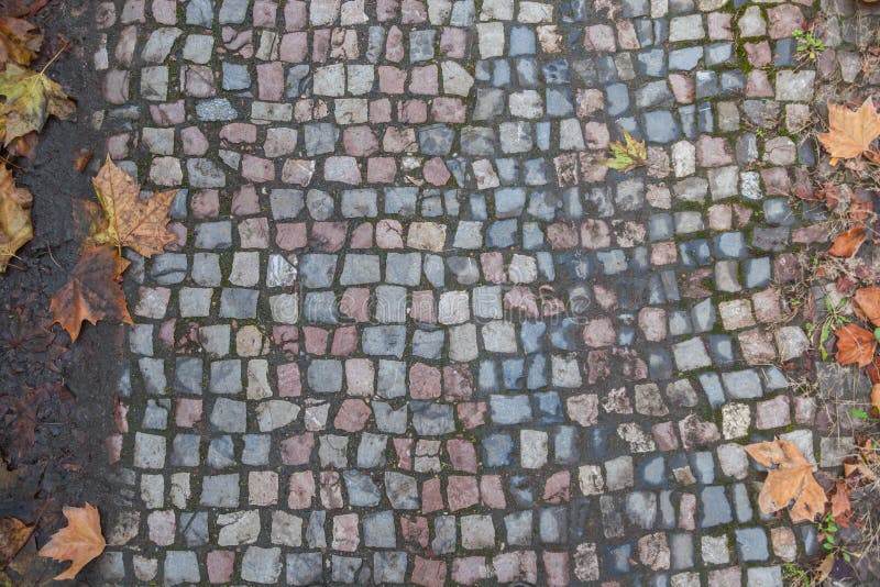 2,100+ Path texture Free Stock Photos - StockFreeImages