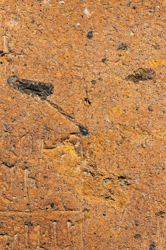 Brick from Old Pink Tuff Texture Background Macro, Selective Focus ...
