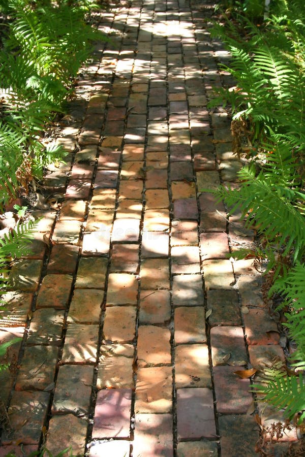 Brick Path stock photo. Image of guide, fern, plant, lined - 309972