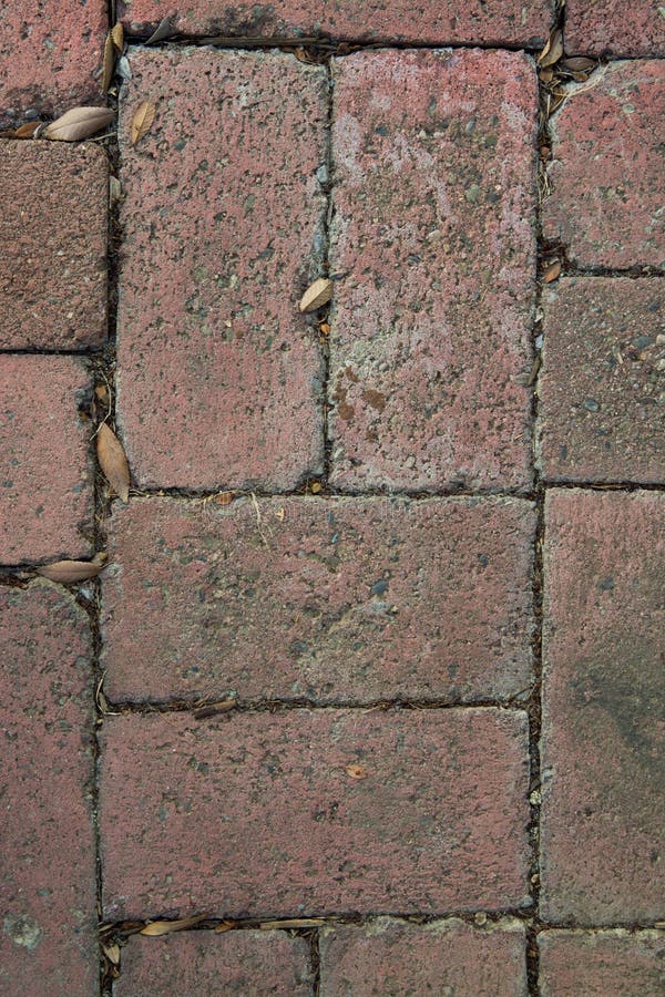 Brick path with leaves stock photo. Image of texture - 371774646