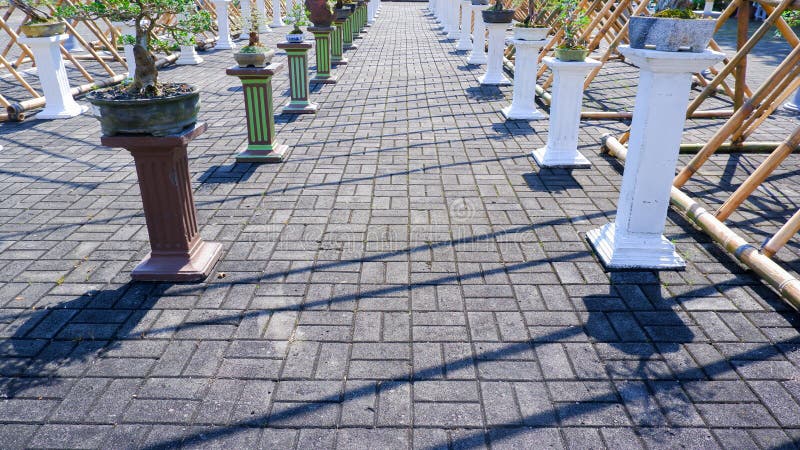 Brick Path Perspective Decorated with Bonsai Trees Stock Photo - Image ...
