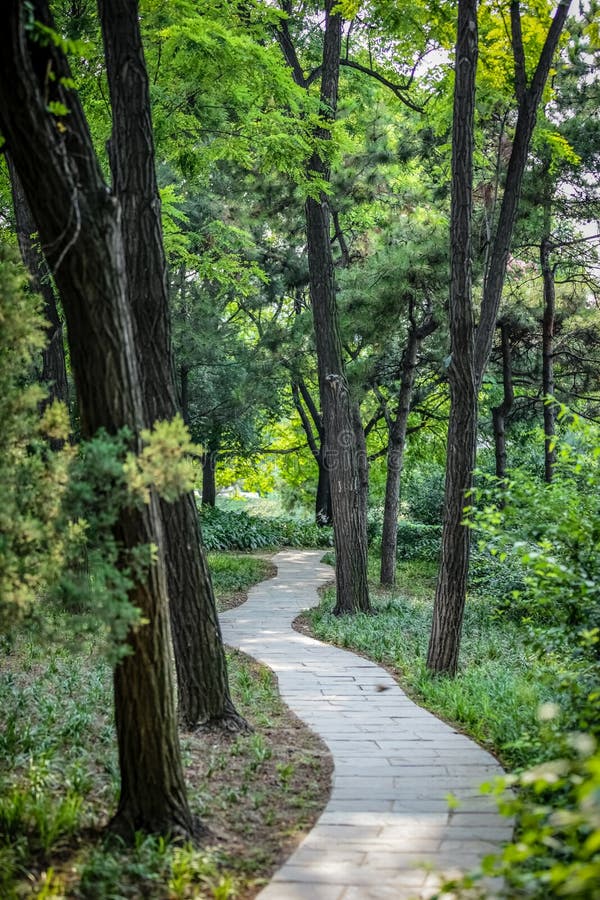 Brick Path Waves Back and Forth through Trees in a Park in Beijing ...