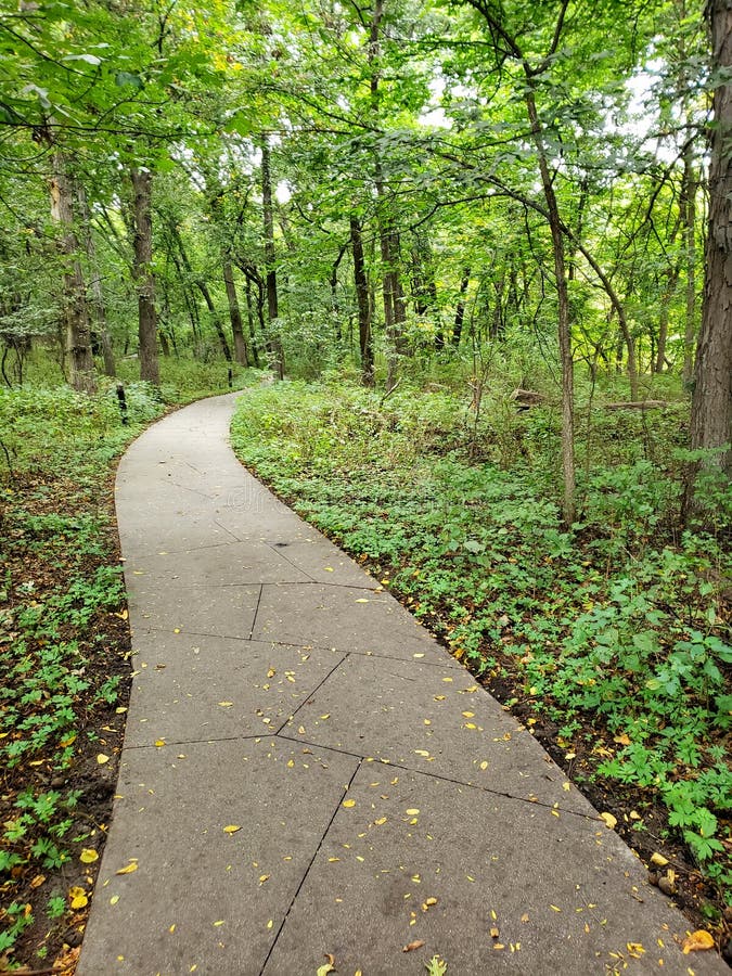 A Brick Path Winding through the Woods in the Fall Season. Stock Image ...