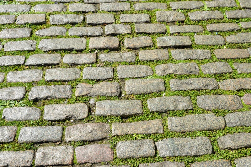 Brick pathway stock image. Image of pattern, walkway - 101793677