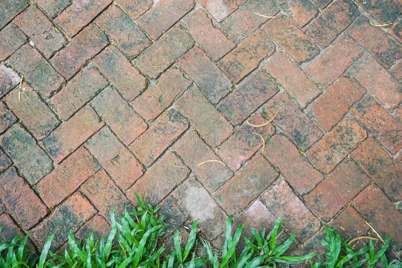 Brick pathway texture stock photo. Image of park, footpath - 75169570