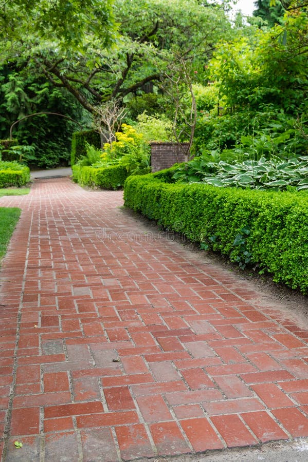 Brick Pathways through a Garden Stock Image - Image of hedge, material ...