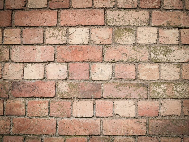 Brick Pattern Background Orange Color Old with Moss Growing Stock Image ...