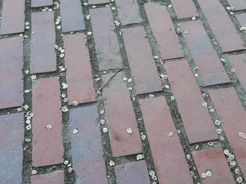 Brick Pattern in the Floor in a Park Stock Photo - Image of floor ...
