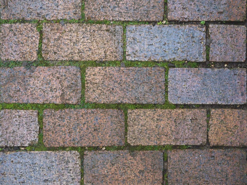 Brick Pattern Paving with Moss, Background, Texture Stock Photo - Image ...