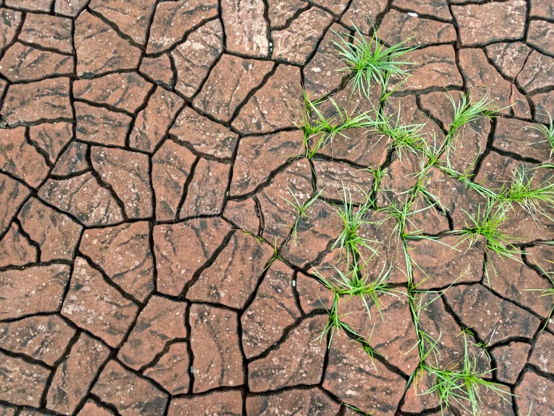 142 Fissured Soil Stock Photos - Free & Royalty-Free Stock Photos from ...