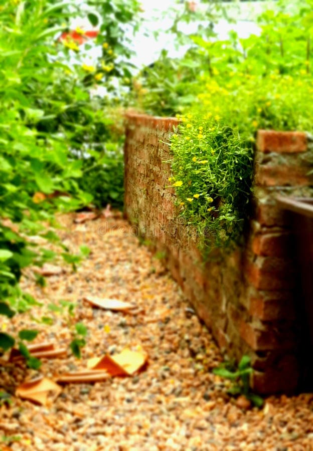 Image of a Planter Made of Bricks Stock Photo - Image of journey, road ...