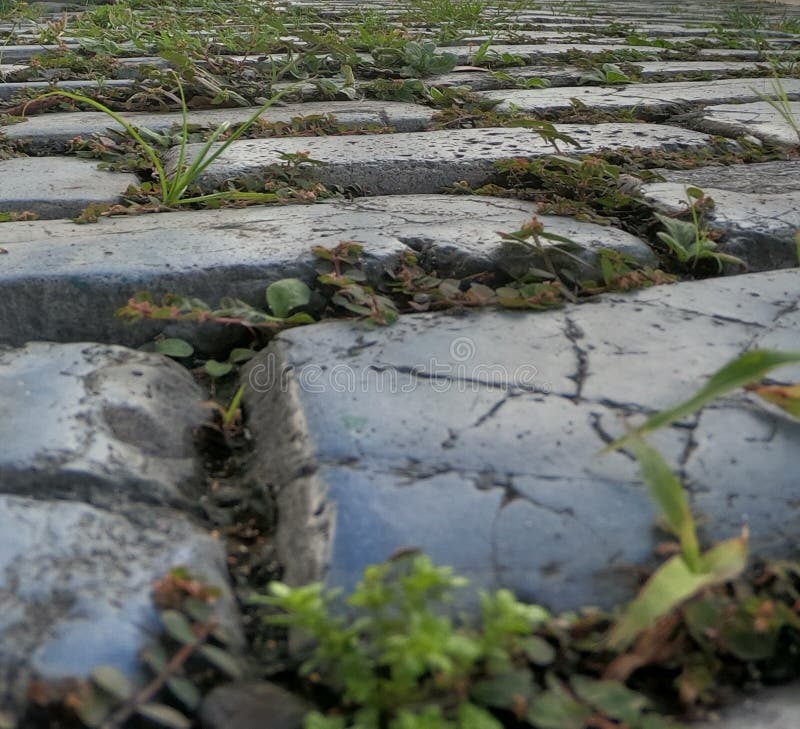 The brick road stock image. Image of lonely, aged, brick - 178012617