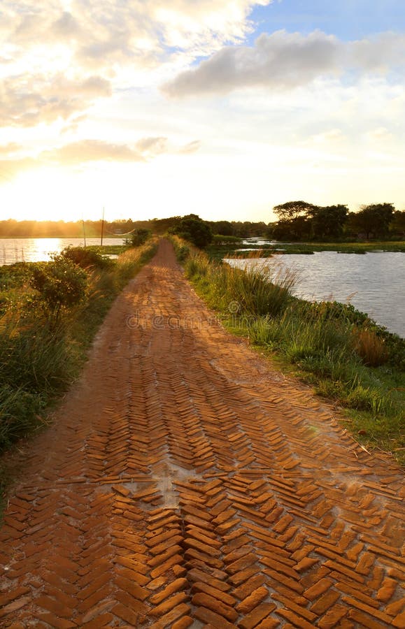 Brick road in rural area stock photo. Image of water - 44501650