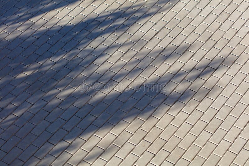 A Brick Sidewalk with a Tree Casting a Shadow on it Stock Photo - Image ...