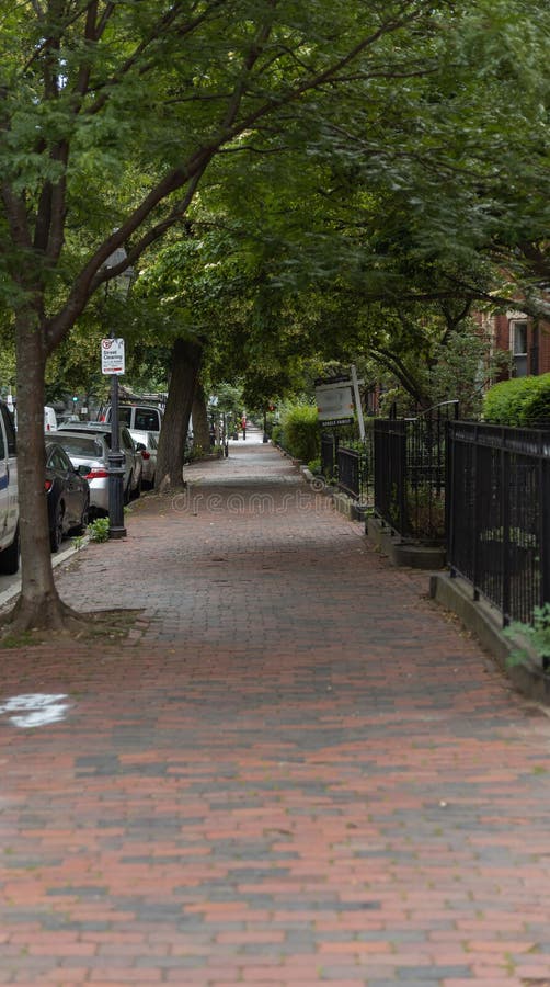 Brick Sidewalk between Trees in Boston Stock Photo - Image of surface ...