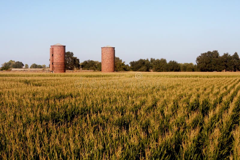 Brick silos stock photo. Image of farming, land, field - 11197866