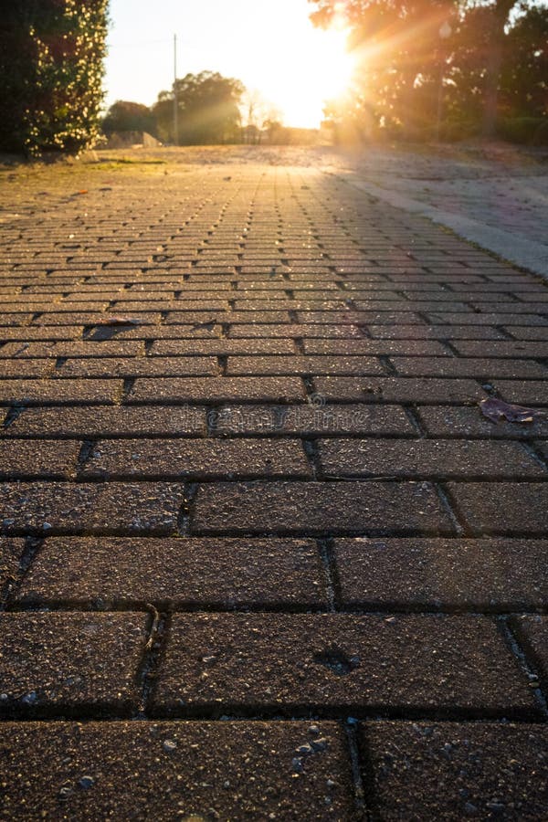 Brick Street from an Extremely Low Angle at Sunset Stock Image - Image ...