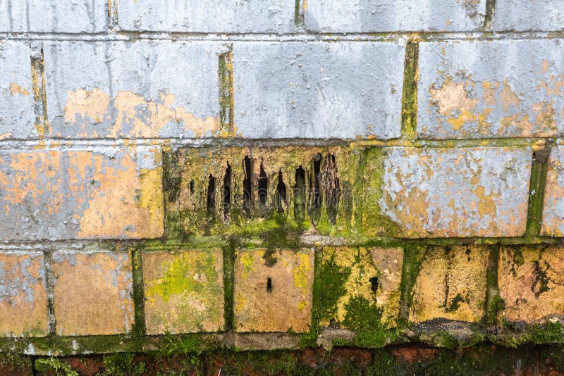 Brick Texture of the Basement of the House with Rusty Stains and Mold ...